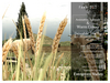 Second Life Marketplace - Farm
